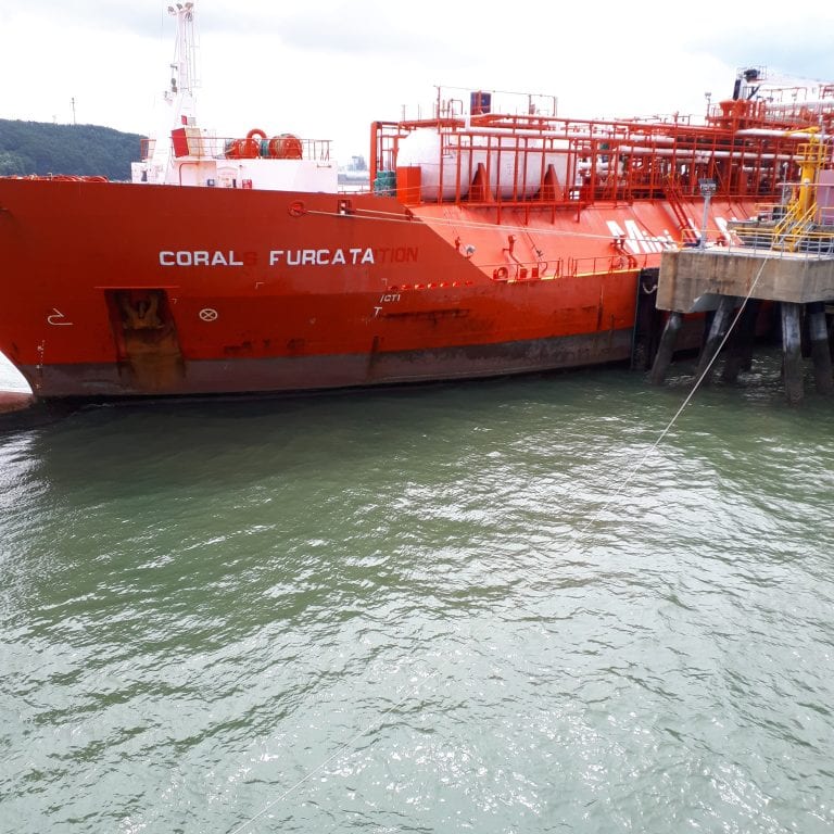 Fleet - Anthony Veder