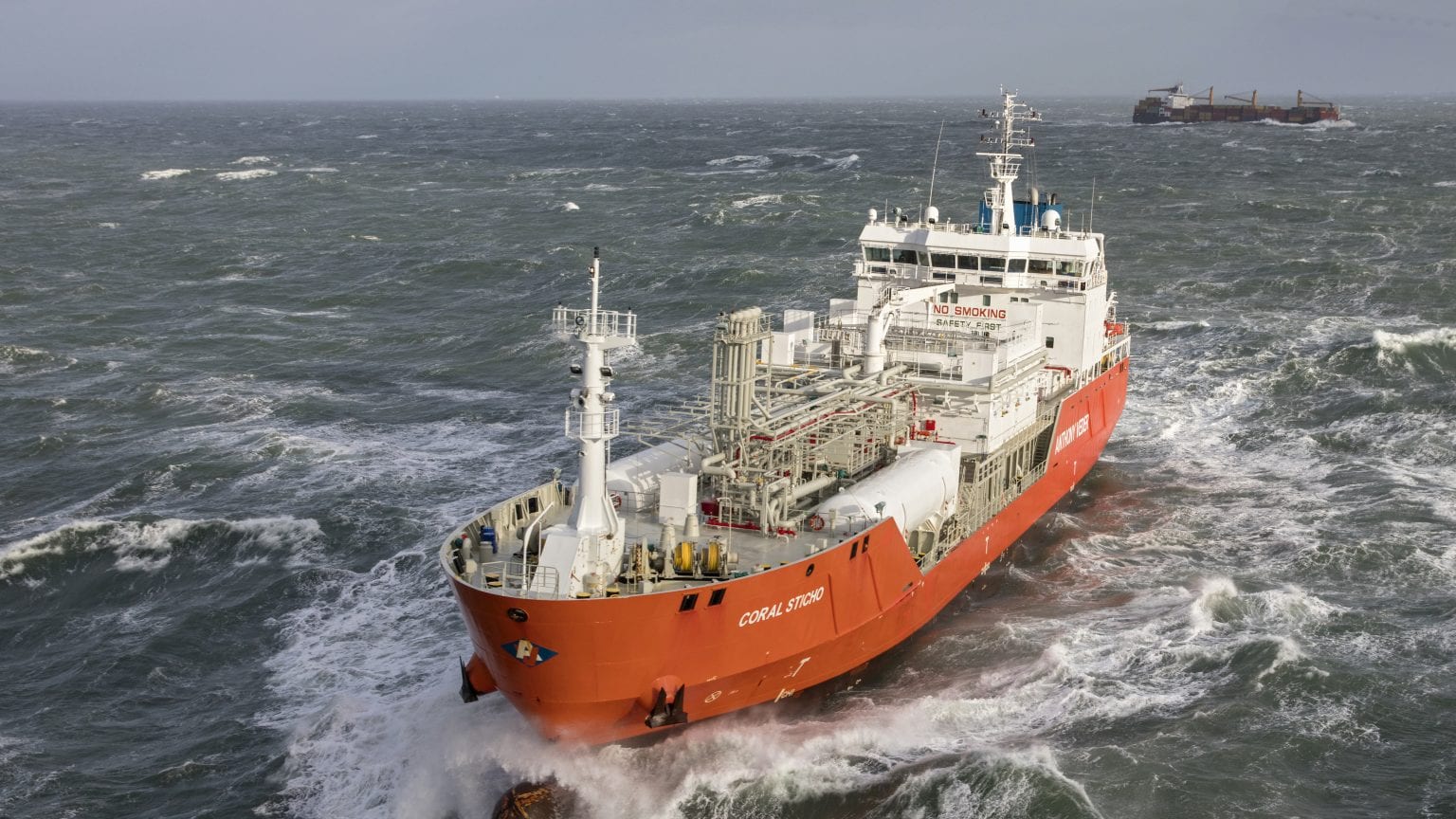 Coral Star - Anthony Veder